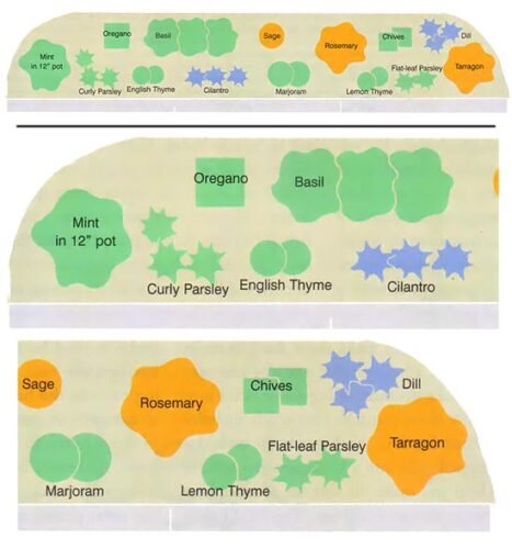 Basic Herb Garden Layout – Mother Earth News
